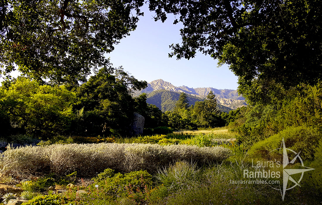 SANTA BARBARA, CA: The Santa Barbara Botanic Garden – Laura's Rambles