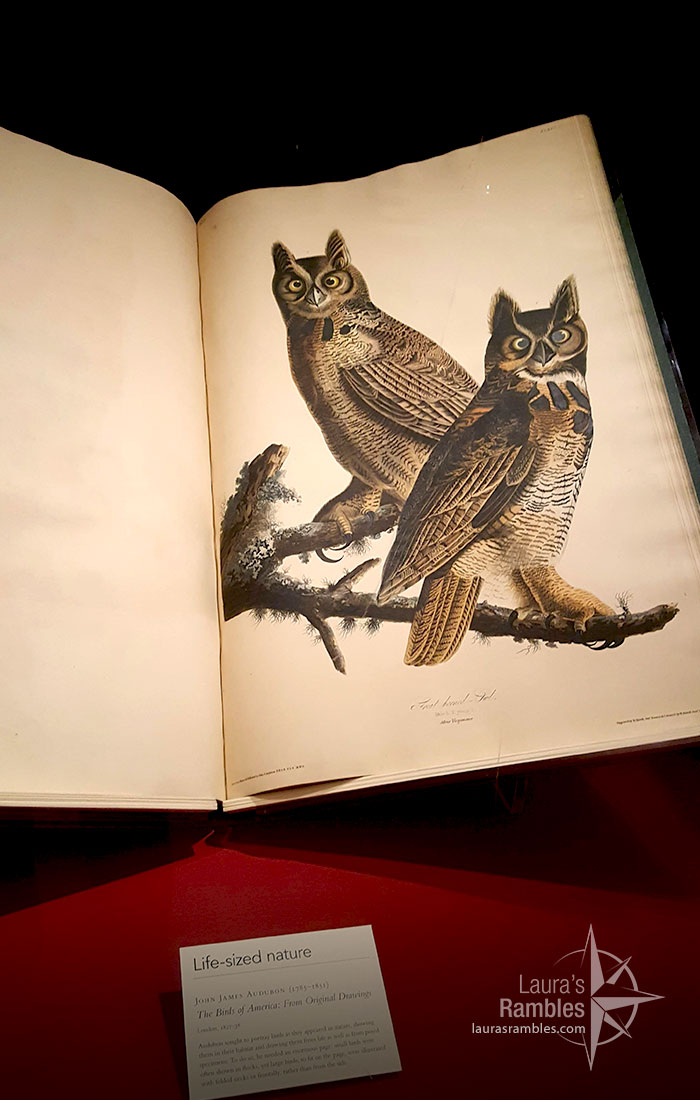 LOS ANGELES, CA: The Huntington – Laura's Rambles