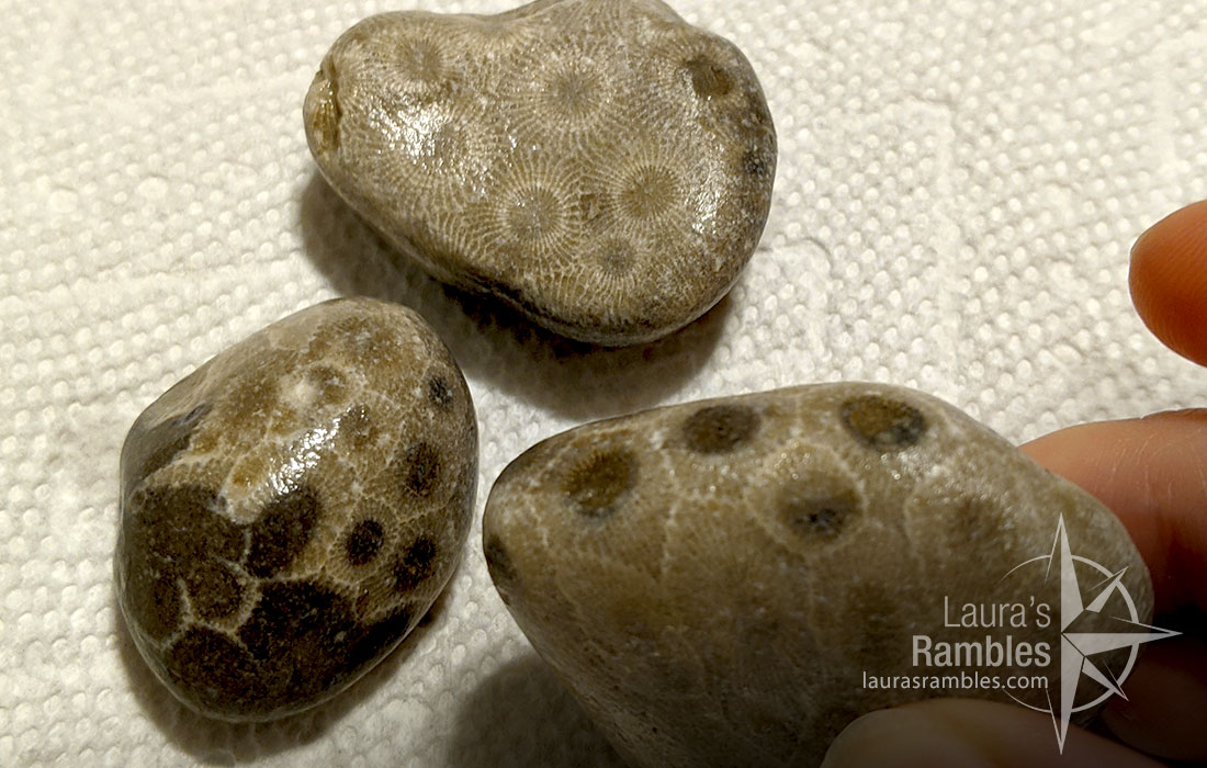PETOSKEY, MI: PETOSKEY STONES – Laura's Rambles